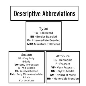 Code Red Iris - Etsy