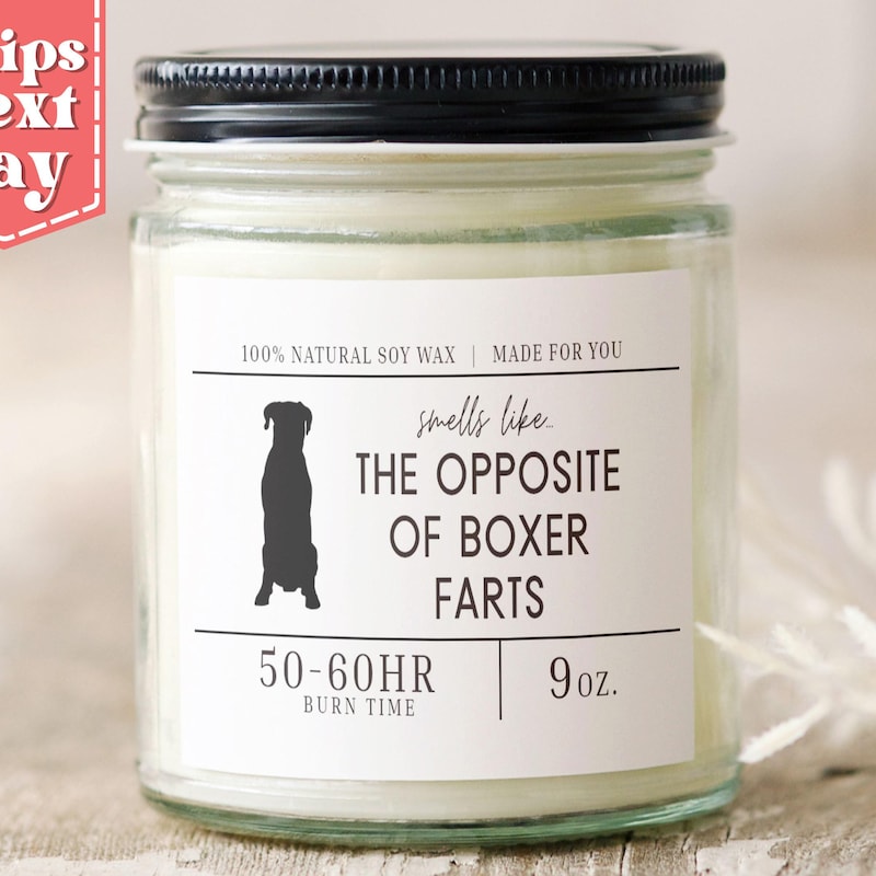 Boxer Dog Gift - 60+ Gift Ideas for 2026