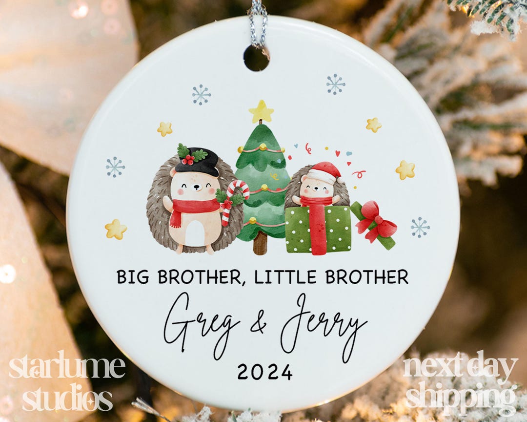 Big Brother, Little Brother Christmas Hedgehogs Name Ornament ...