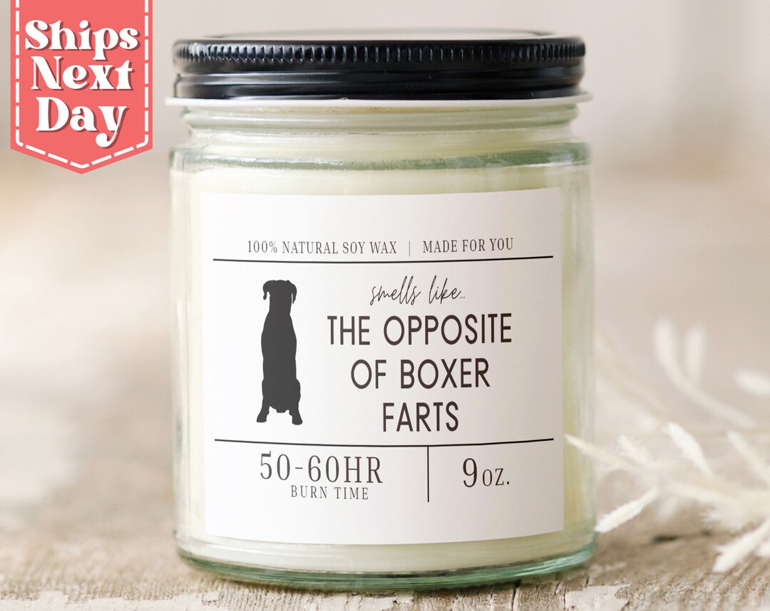Smells Like the Opposite of Boxer Farts. Funny Boxer Dog Mom, Dad Gift ...