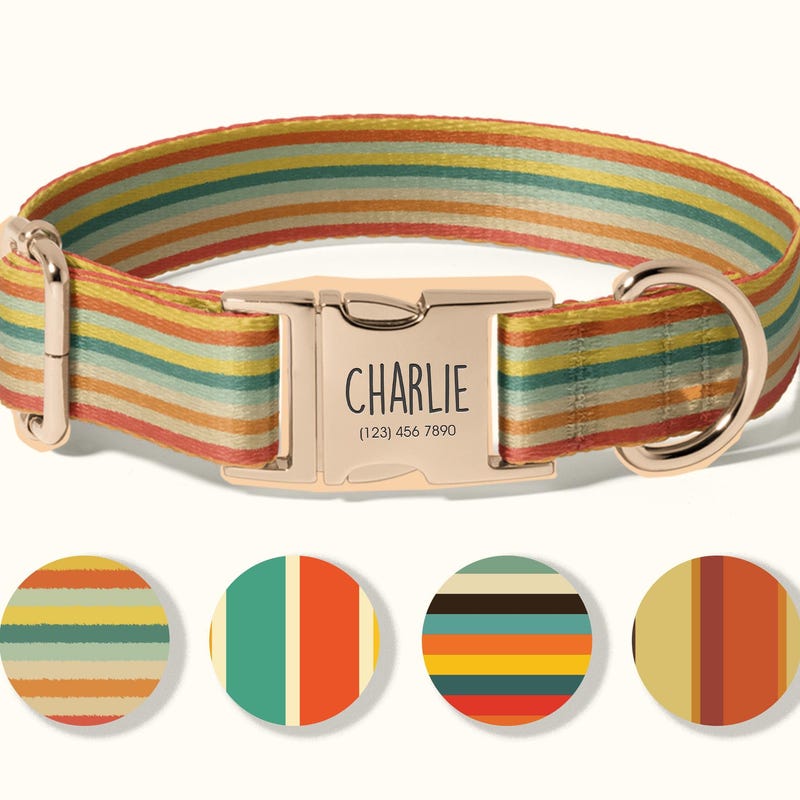 Colorful Dog Collar - Etsy