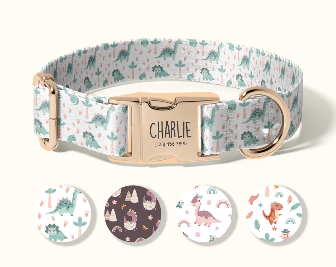 Personalized Dog Collar, Custom Engraved Dog Collar, Adjustable, Cute ...