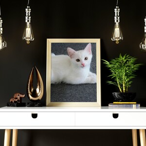 Beautiful White Cat Printable Wall Art PNG/PDF File Print on Anything ...