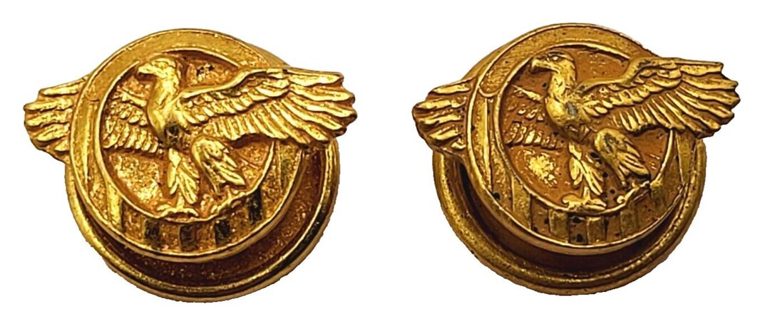 Militaria WWII Honorable Discharge Ruptured Duck Lapel Pin Lot of 2 - Etsy
