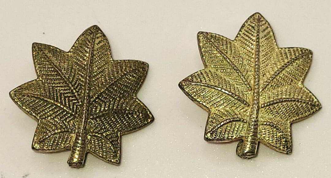 US Lt. Colonel Rank Oak Leaf Pin Back Militaria Silver Tone - Etsy