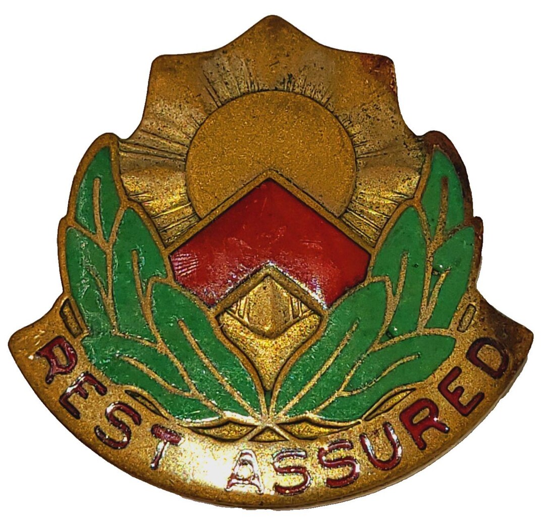 US Military 593rd Support Group Insignia Rest Assured Pin D22 - Etsy