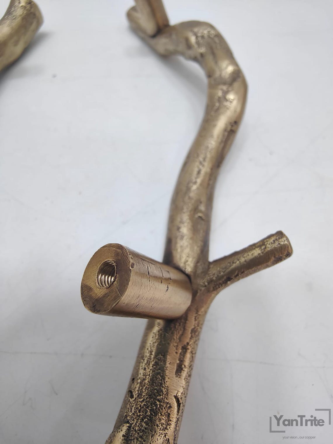 Set of Two Rustic Brass Branch Door Handles Nature-inspired Organic ...