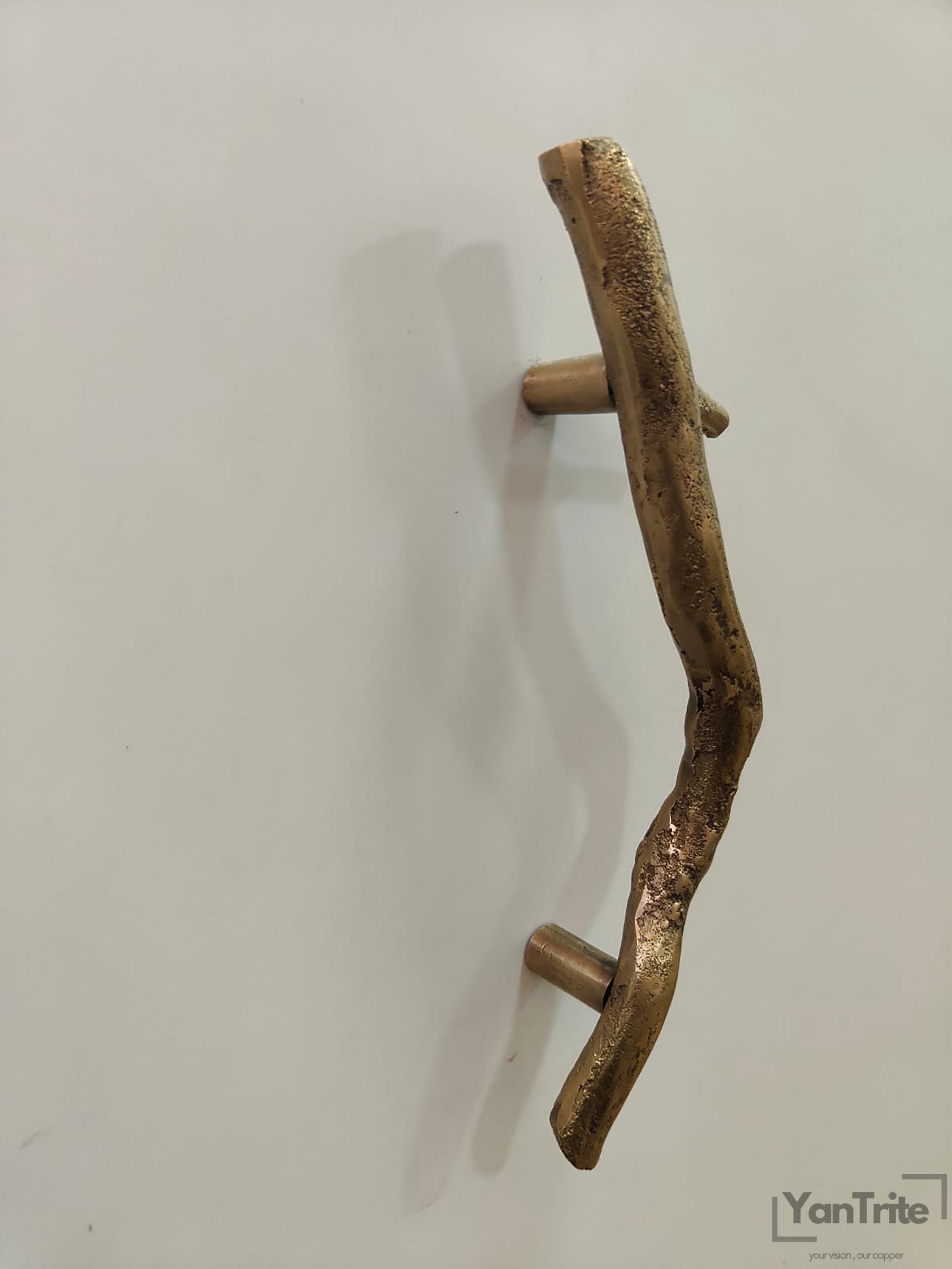 Set of Two Rustic Brass Branch Door Handles Nature-inspired Organic ...