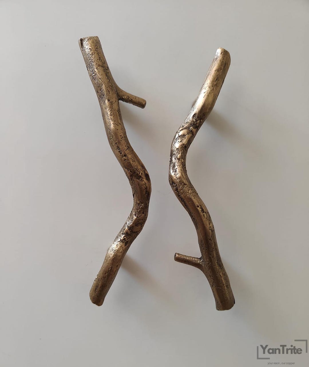 Set of Two Rustic Brass Branch Door Handles Nature-inspired Organic ...