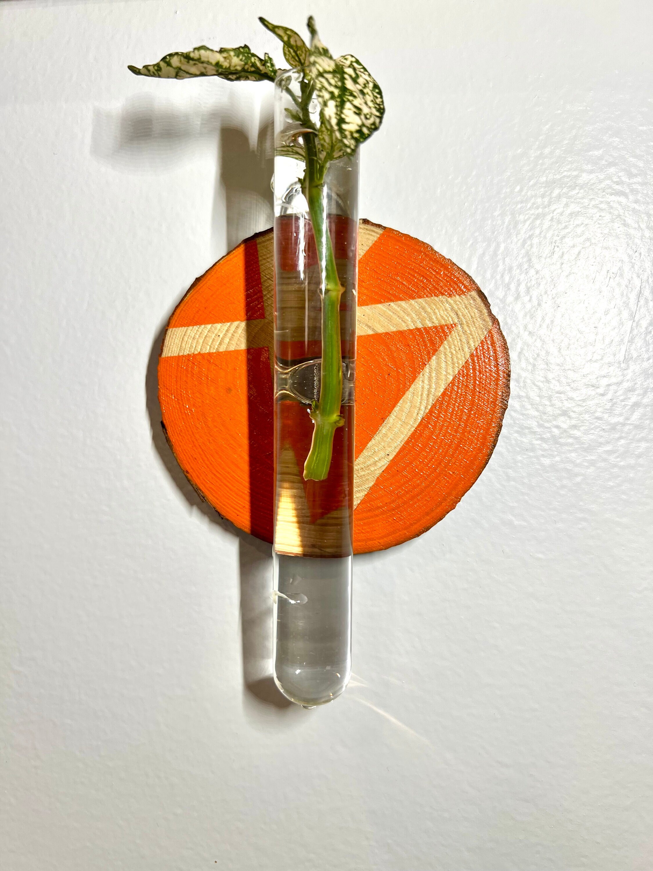Hanging Propagation Station - Etsy