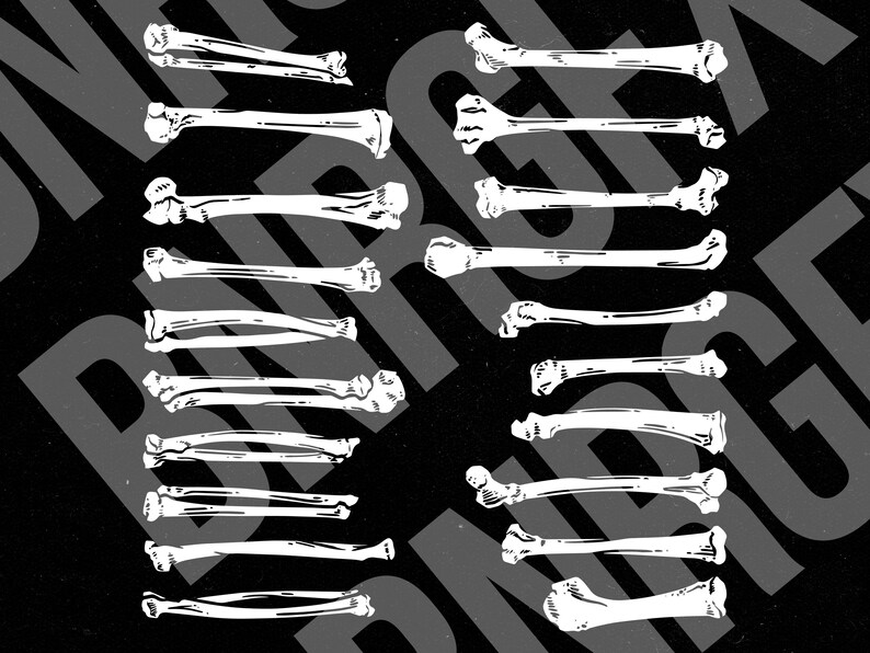 Bone Pack Vol.1 - Illustrated Bone Clipart Collection - PNG and Vector ...