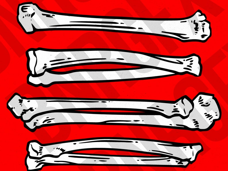 Bone Pack Vol.1 - Illustrated Bone Clipart Collection - PNG and Vector ...