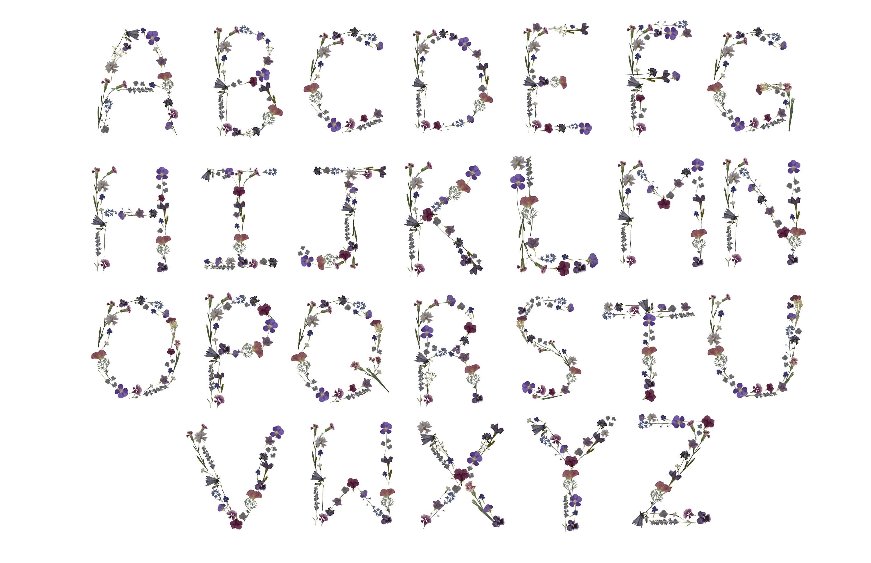 Alphabet Poster Pressed Flowers (digital Download) Decor for Baby Room ...