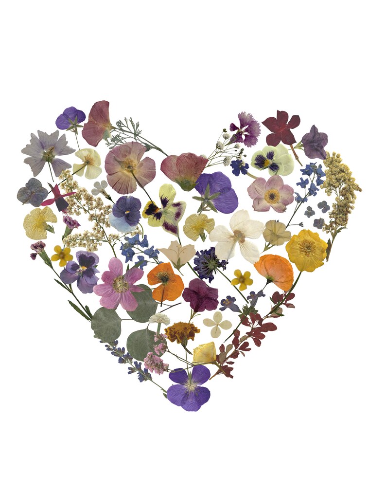 Pressed Flower Heart Art (print) Nursey Decor for Baby Room or Playroom ...
