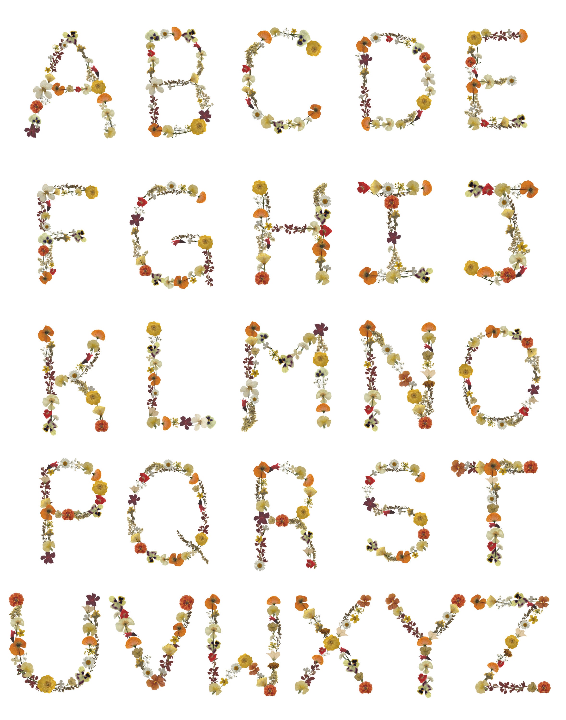 Pressed Flower Letter Art print Nursery Name Art Nursery - Etsy