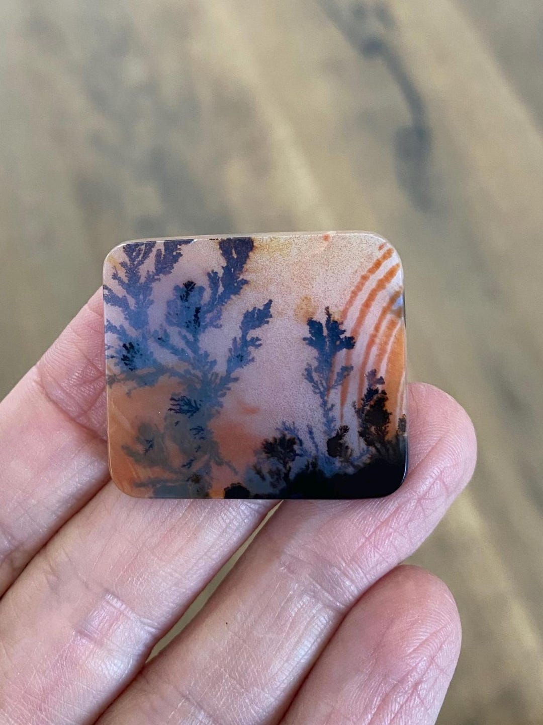 Bright Orange and Black Dendritic Agate Cabochon, Prairie Scene at ...