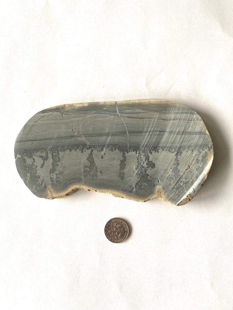 Cotham Marble Stromatolite Display Specimen Scenic - Etsy