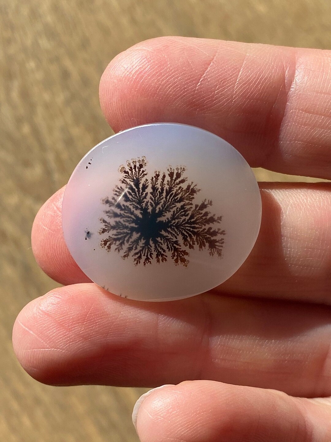 Cabujón ovalado de ágata dendrítica, ¡como un trozo de coral! 28 x 25 ...