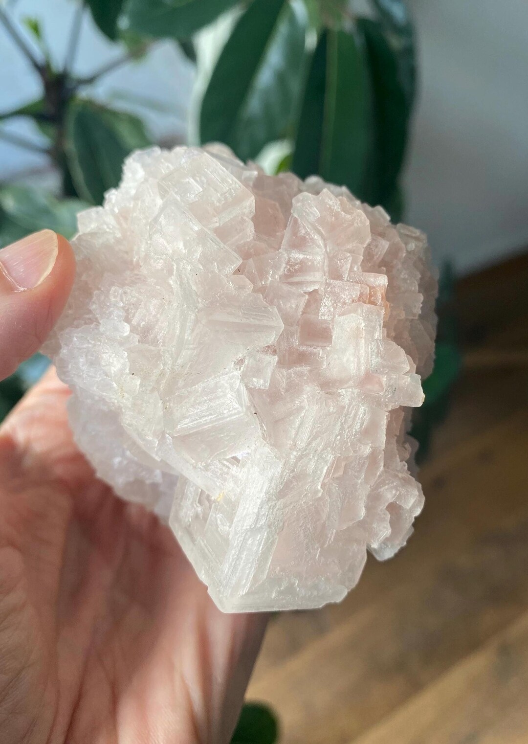 Halite California Mineral Specimen Pale Pink Hoppered Habit for Display ...