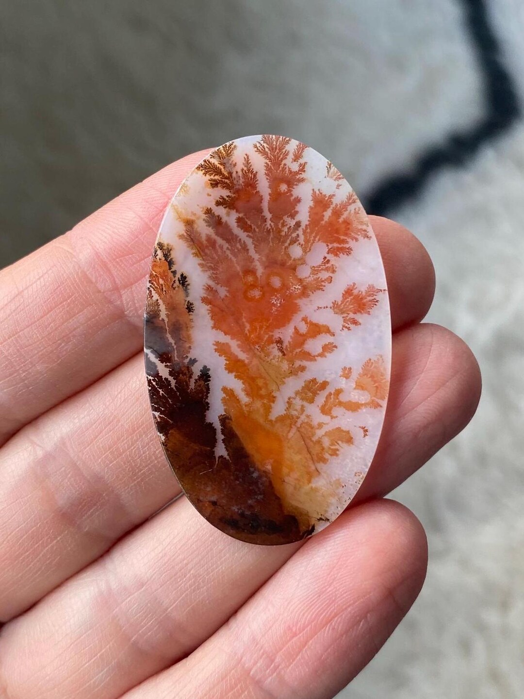 Dendritic Agate, Orange and Red Fall Scene, Oval Cabochon, 45x27 Mm - Etsy