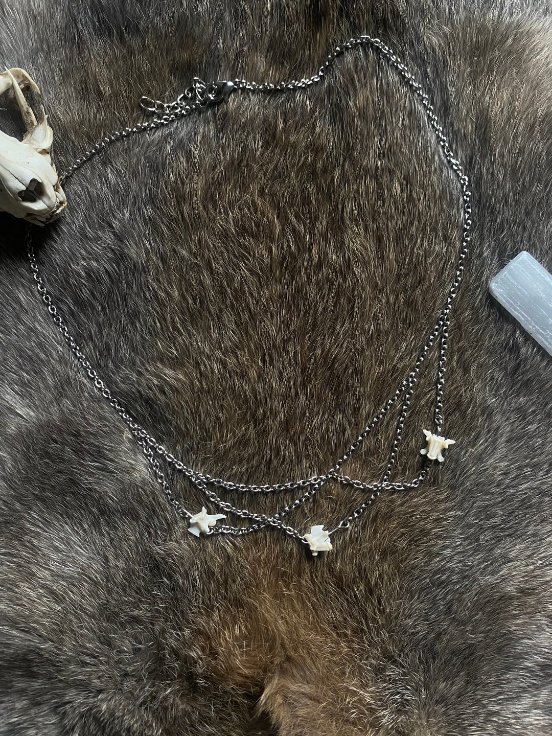 Rattlesnake Vertebrae Choker - Fantasy Collection - Oddities and ...