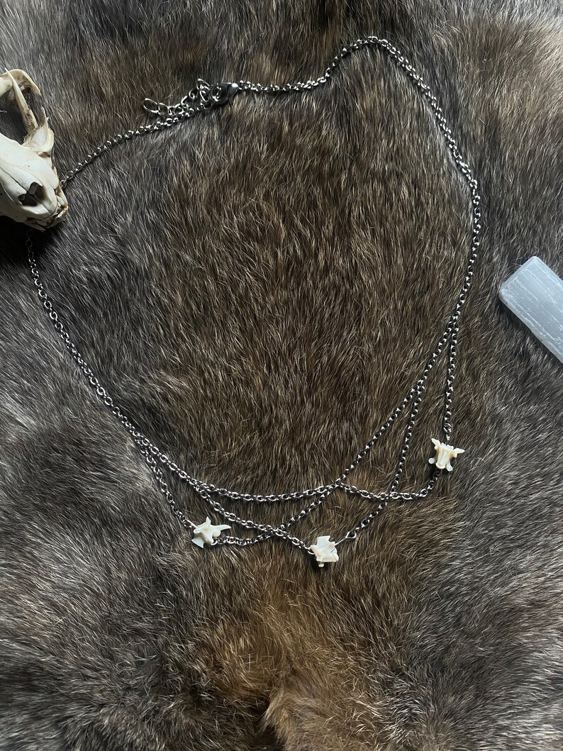 Rattlesnake Vertebrae Choker Fantasy Collection - Etsy