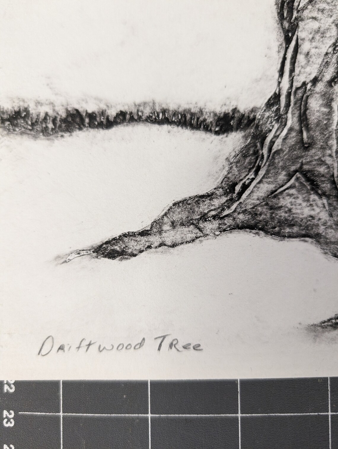 Etching Collagraph Print, "driftwood Tree" Coastal Marsh Landscape, 8 ...
