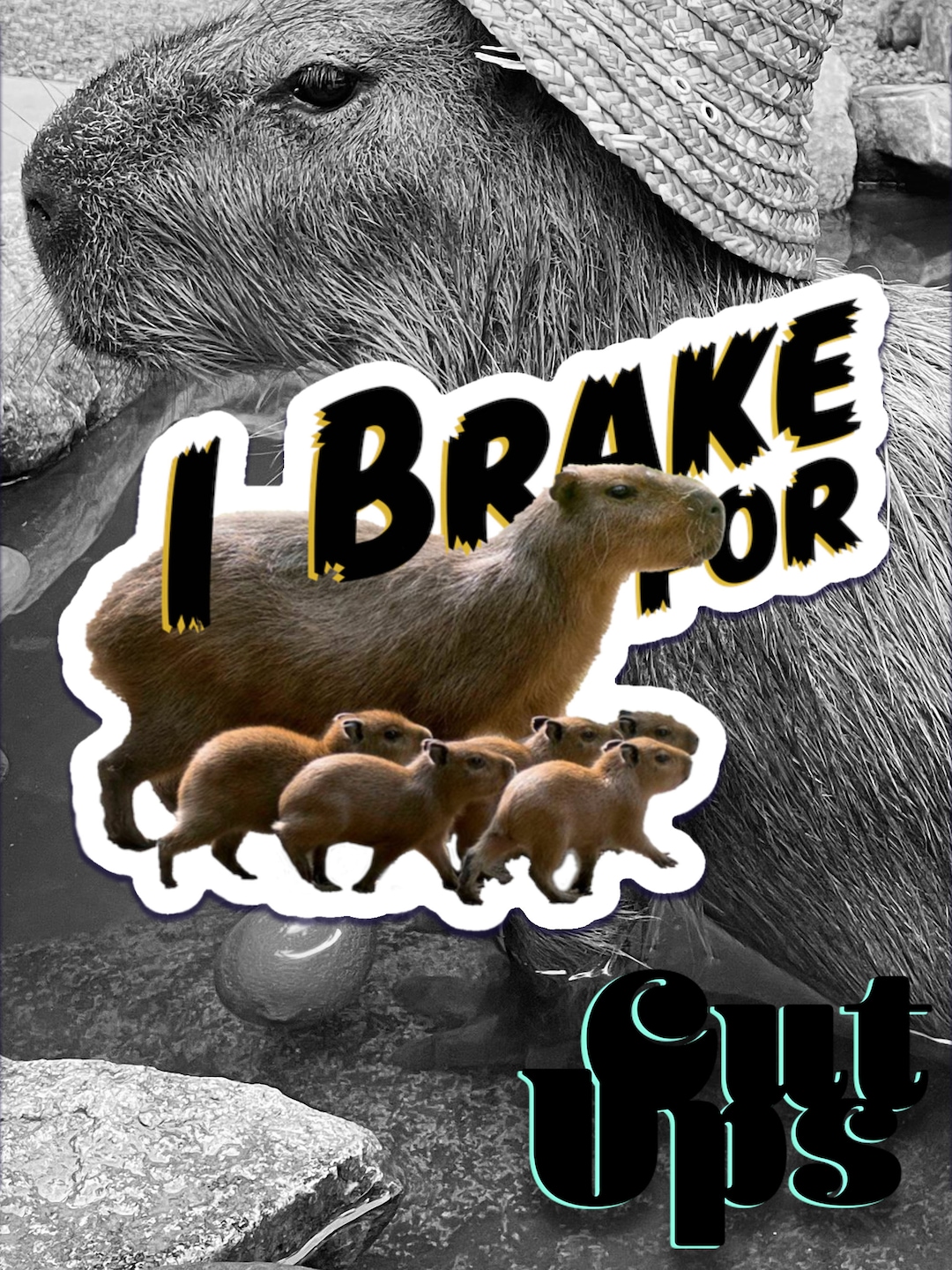 I Brake for Capybara Vinyl Sticker Cute Bumper Sticker Wildlife Car ...