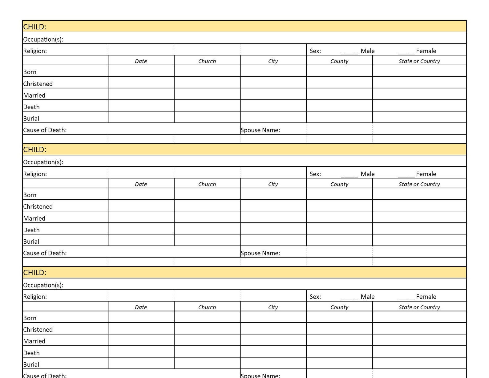 Family Data Sheet | Printable Excel or PDF Doc | Genealogy Family Tree ...