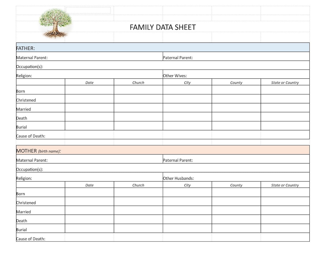 Family Data Sheet | Printable Excel or PDF Doc | Genealogy Family Tree ...