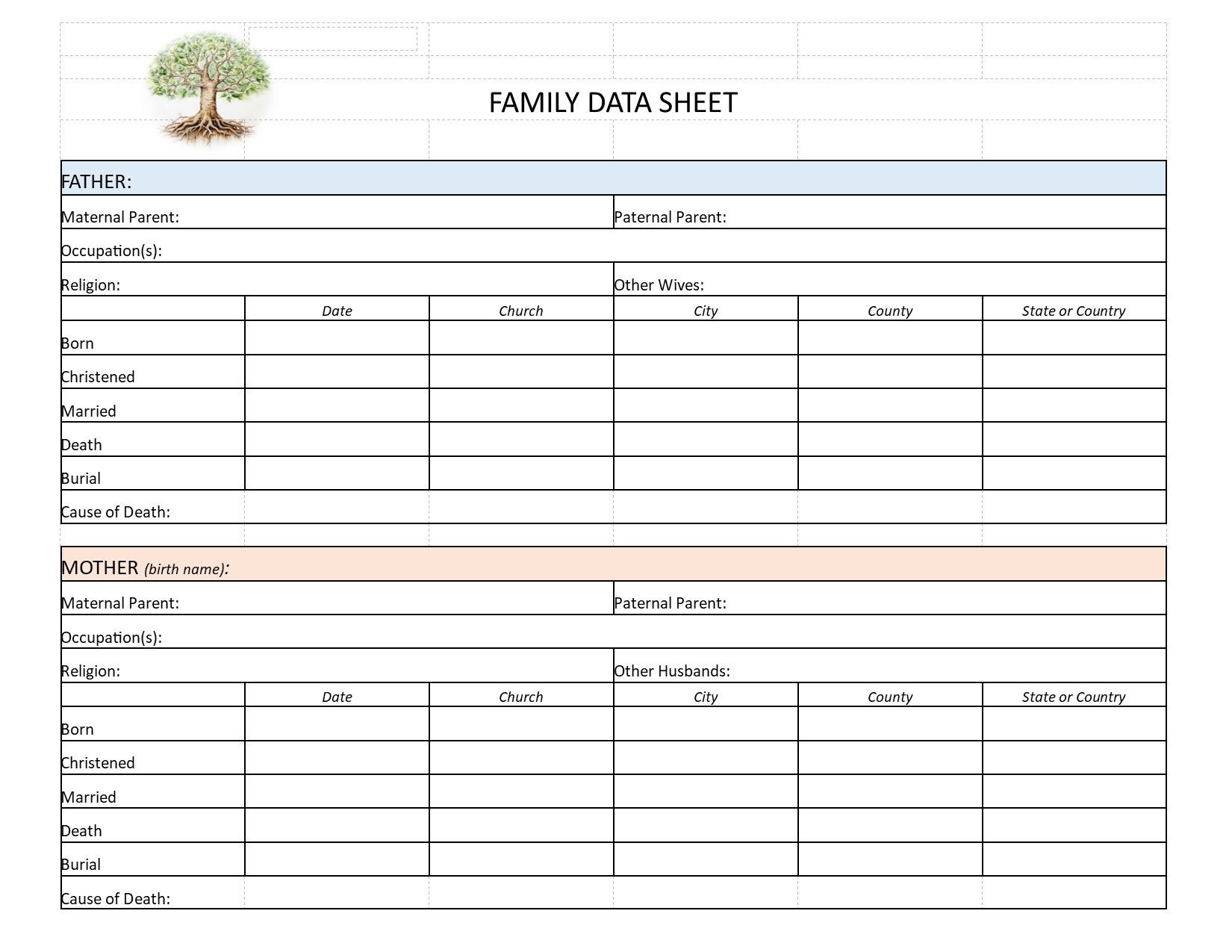 Family Data Sheet | Printable Excel or PDF Doc | Genealogy Family Tree ...