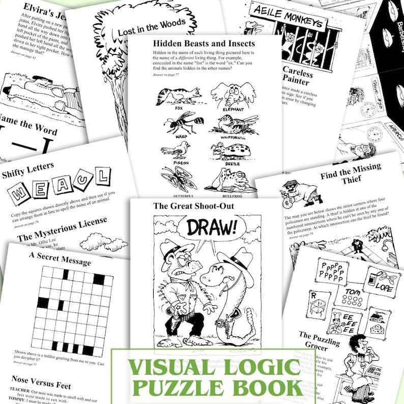 Visual Logic Puzzle Book Brain Teasers, Patterns & Critical Thinking ...