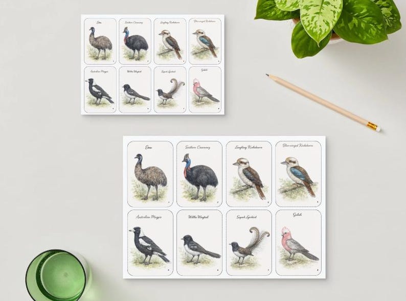 Australian Native Birds Montessori Flash Cards | Printable Learning ...