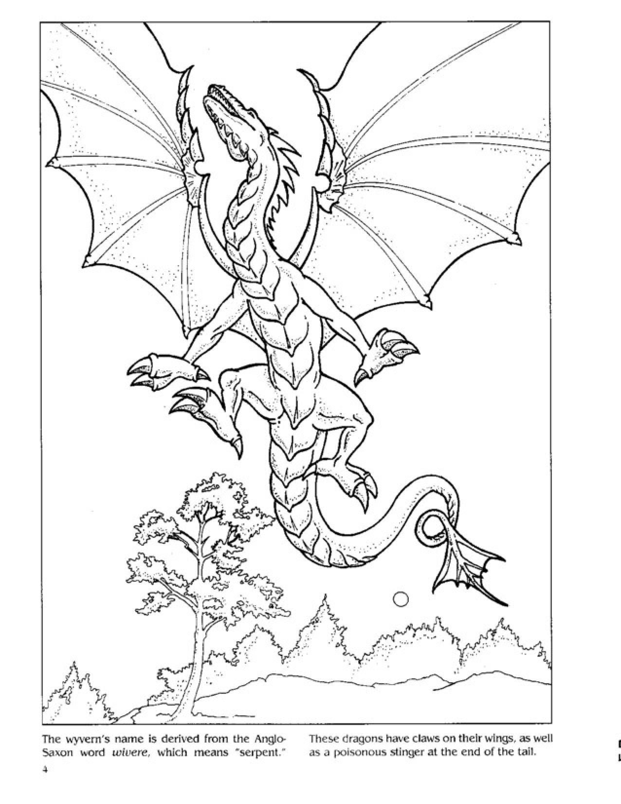 Dragon Coloring Book - Etsy