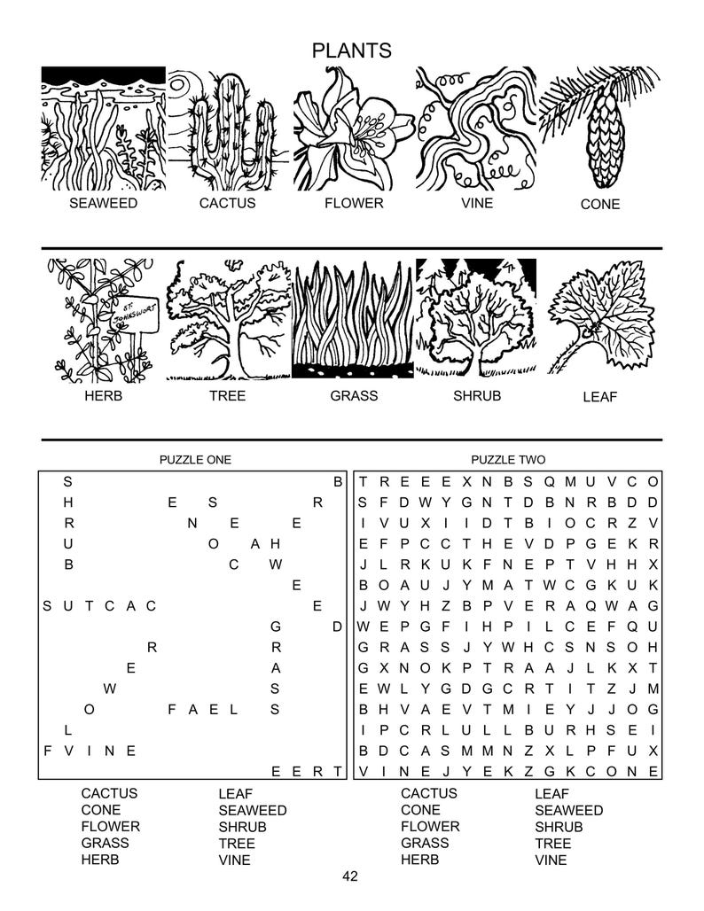 Thematic Word Search Puzzle Book: 100 Puzzles Vol 1 (answer Included ...