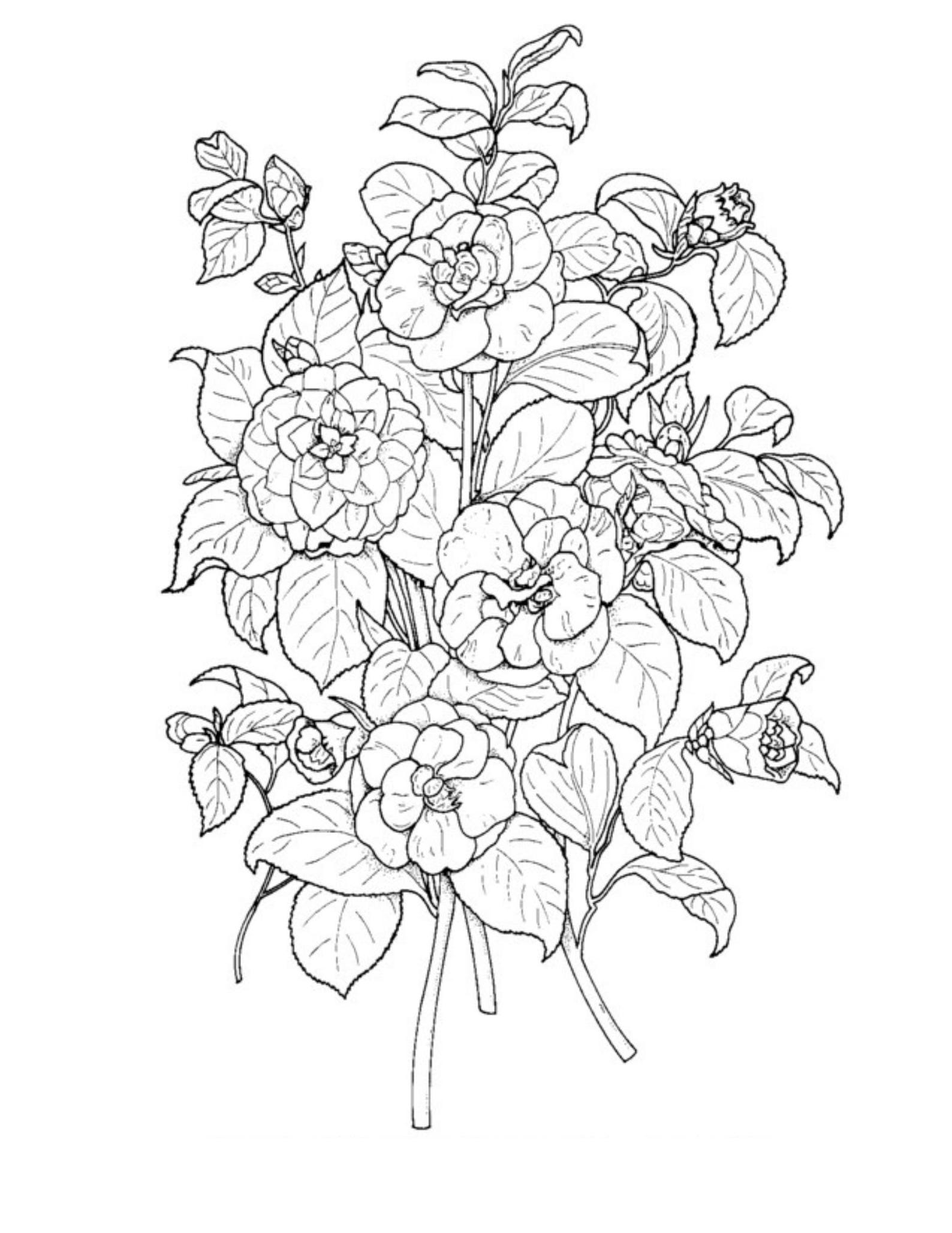 Printable Flower Coloring Book – Stress Relief Floral Designs for Kids ...