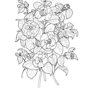 Floral Fantasia Coloring Book, Blossoming Adventure Coloring Pages ...