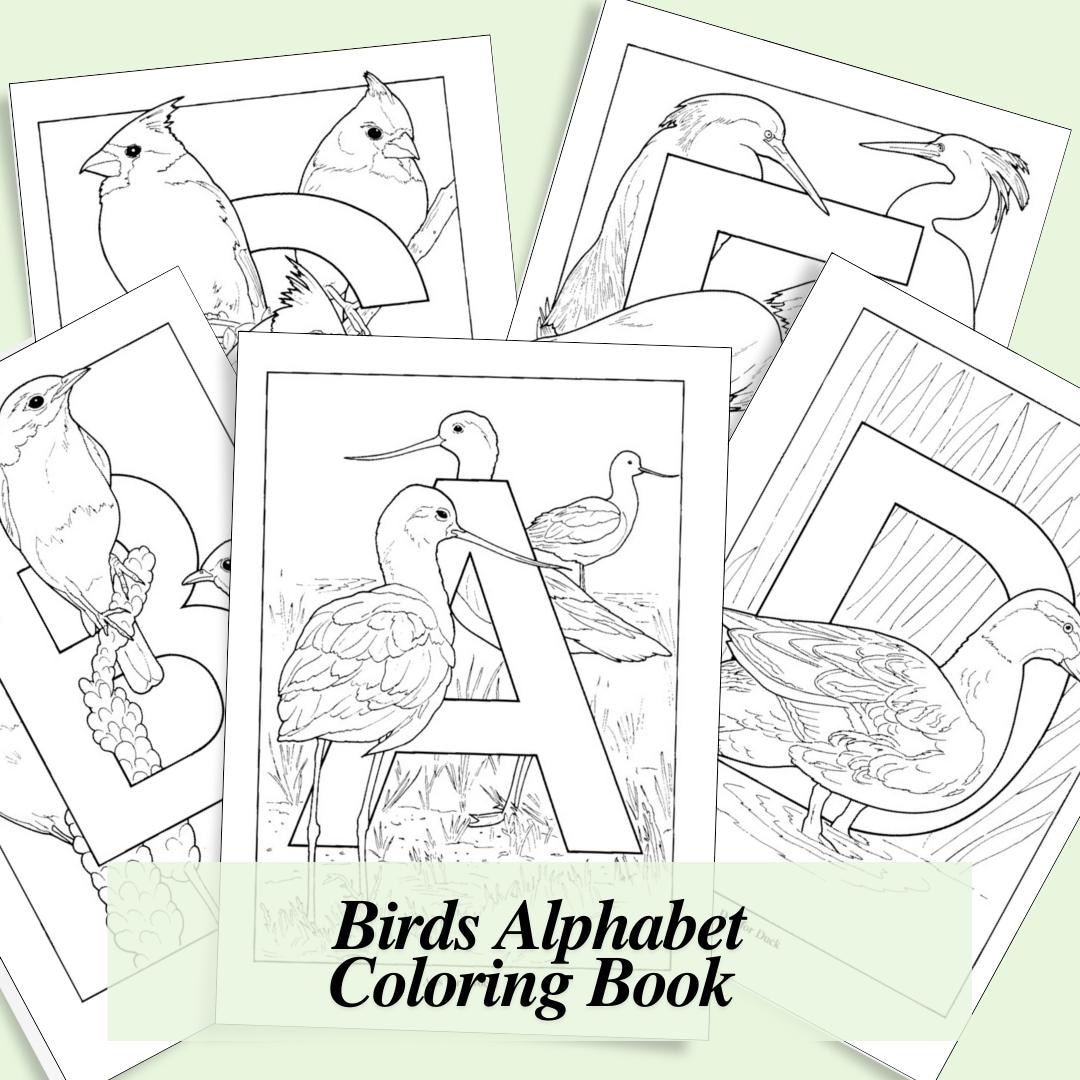 Birds Alphabet Coloring Book, ABC Bird Activity Book for Kids, Animal ...