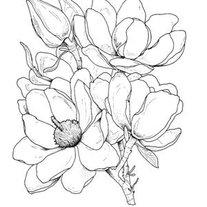 Floral Fantasia Coloring Book, Blossoming Adventure Coloring Pages ...