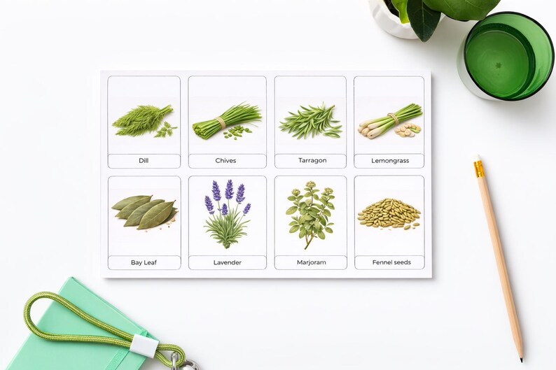 Herbs Montessori Flashcards | Botanical Learning Cards for Kids ...