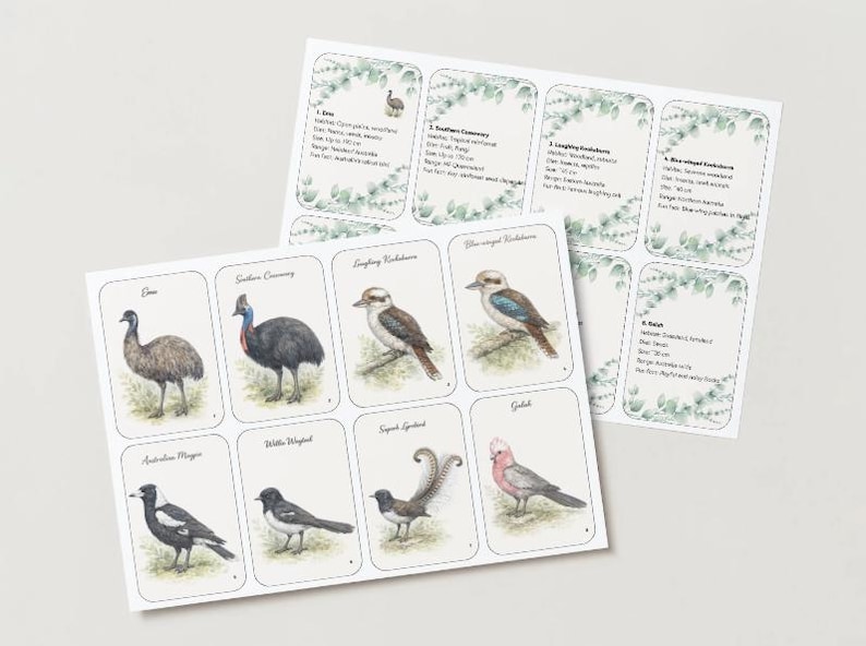 Australian Native Birds Montessori Flash Cards | Printable Learning ...