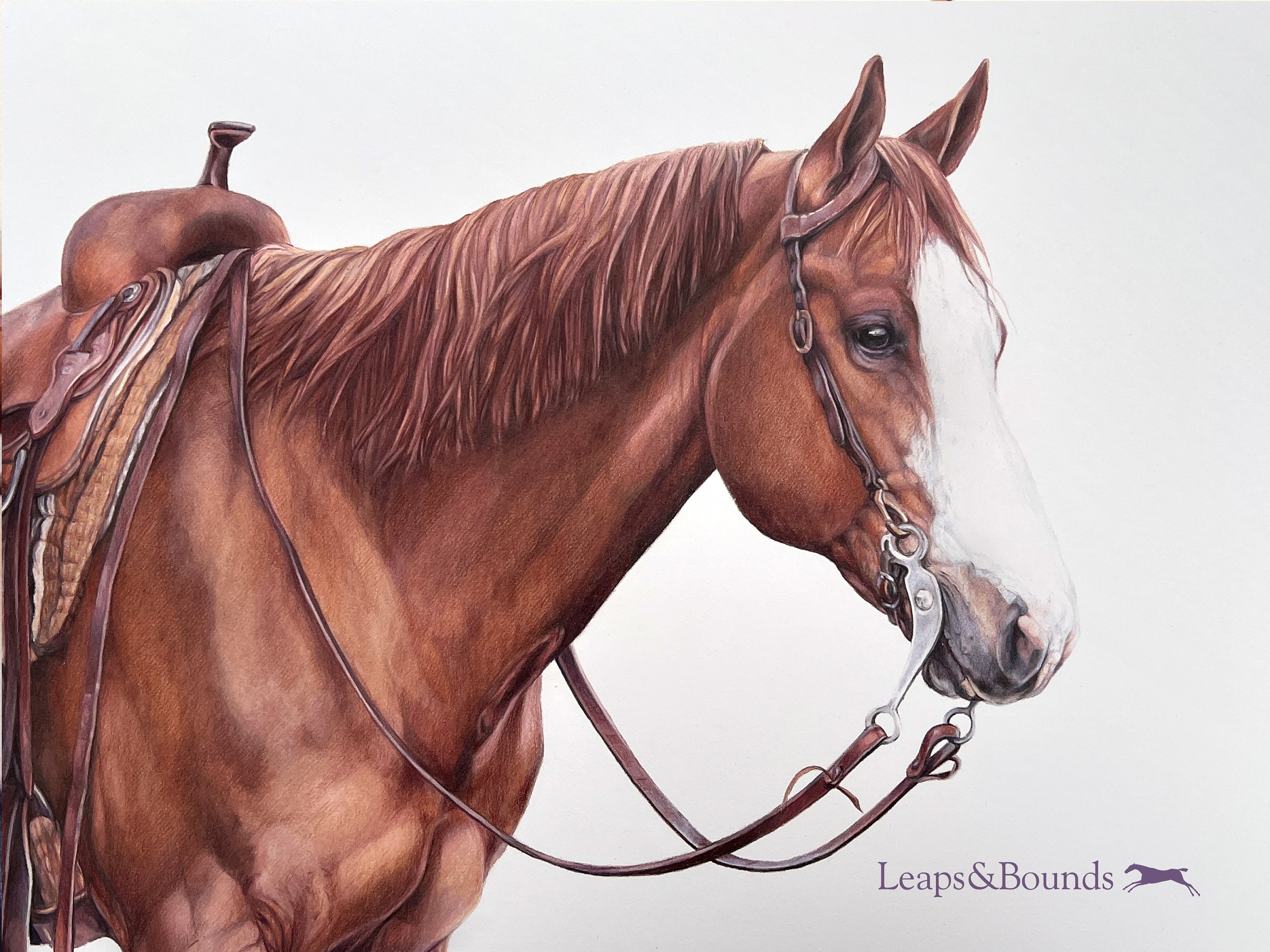 Custom Western Horse Portrait: Professional Original Colored Pencil ...