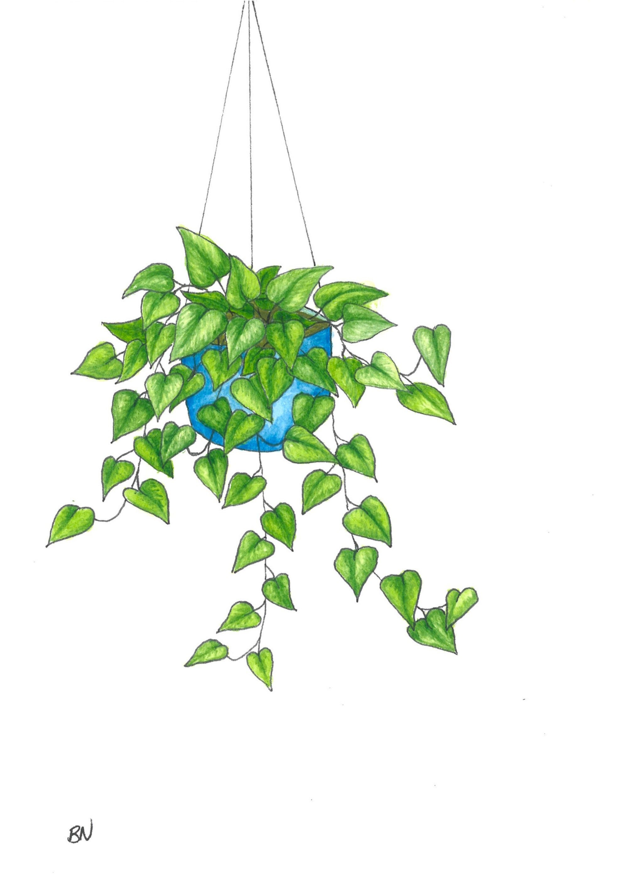 Hanging Pothos Art Print, Watercolor Pothos Painting, Minimalist Plant ...