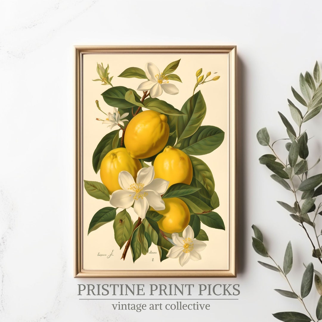 Vintage Lemon Tree Print | Rustic Farmhouse Kitchen Decor Painting ...