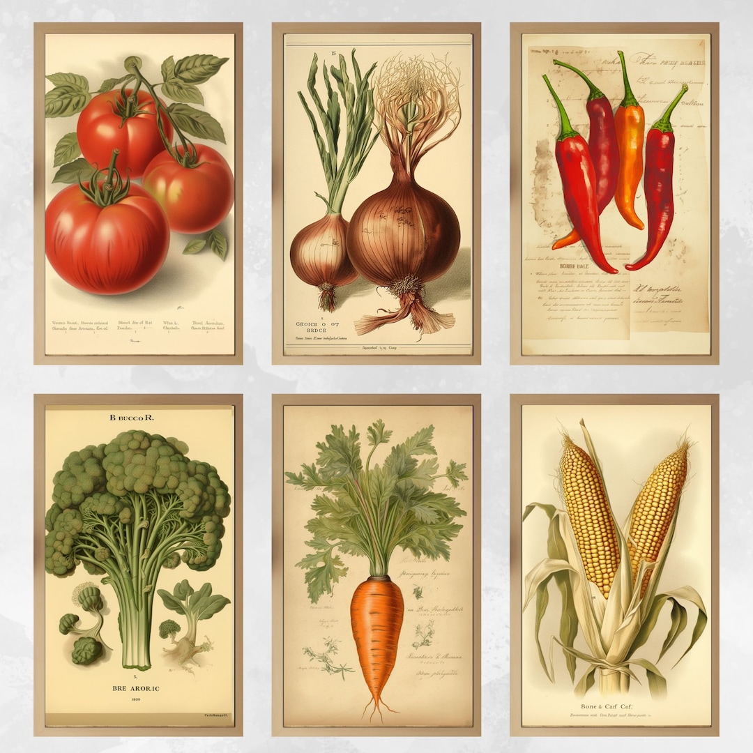 Country Kitchen Print | Vintage Painting | Vegetables Still Life ...