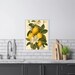 Vintage Lemon Tree Print | Rustic Farmhouse Kitchen Decor Painting ...
