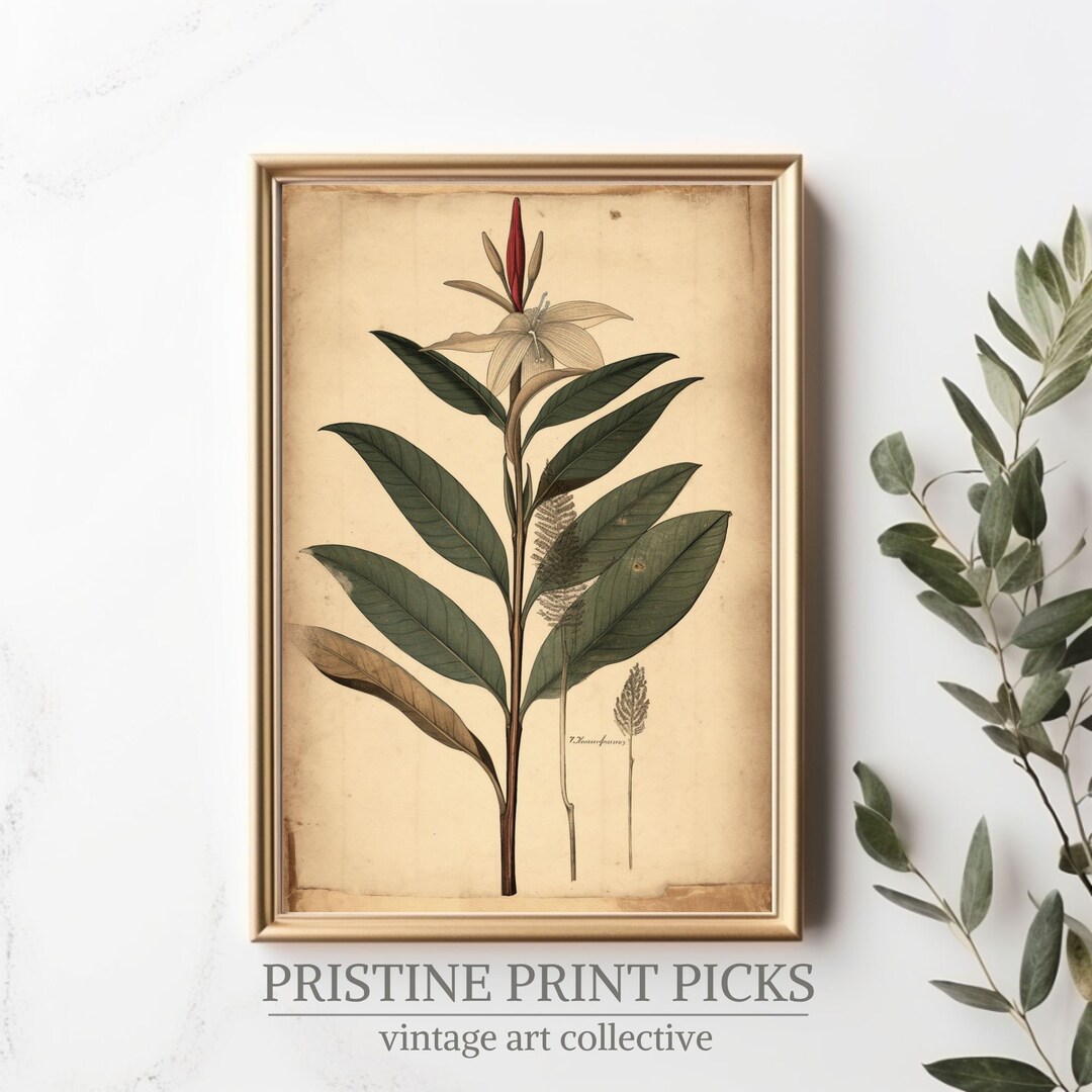 Retro Garden Beauties Print: A Vintage-inspired Botanical Masterpiece ...