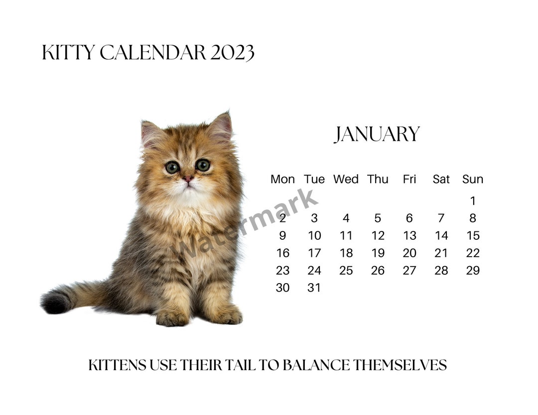 January Through April Printable 2023 Kitty Calendar Jan Thru April - Etsy