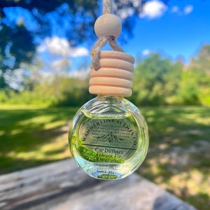 Car Diffuser Hanging Diffuser for Small Area Car Hanging Decor Cute Car ...