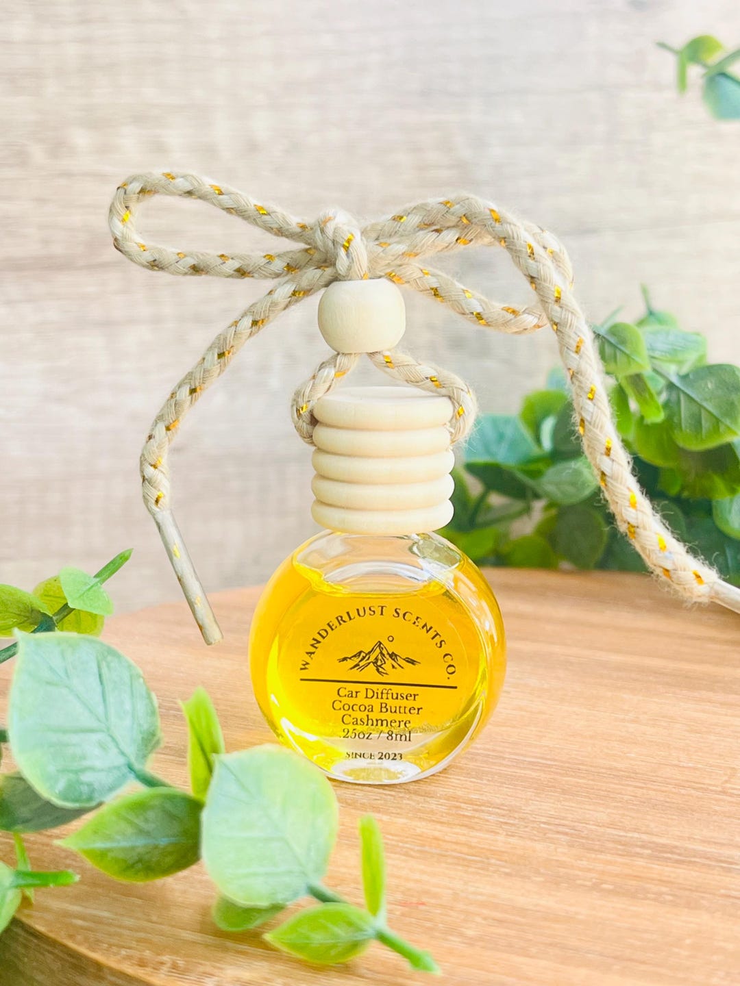 Car Diffuser Hanging Diffuser for Small Area Car Hanging Decor Cute Car ...